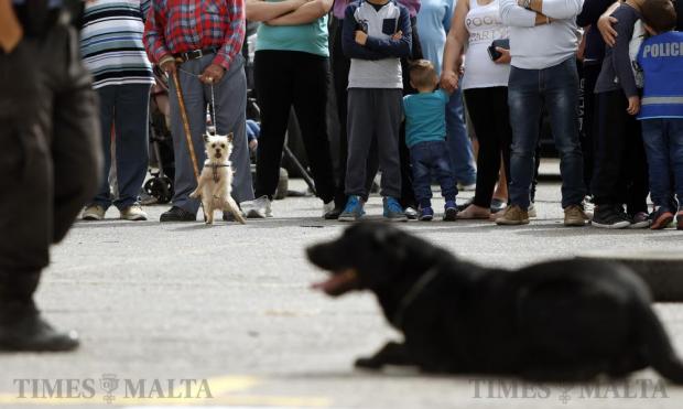 Photos of the week - Times of Malta