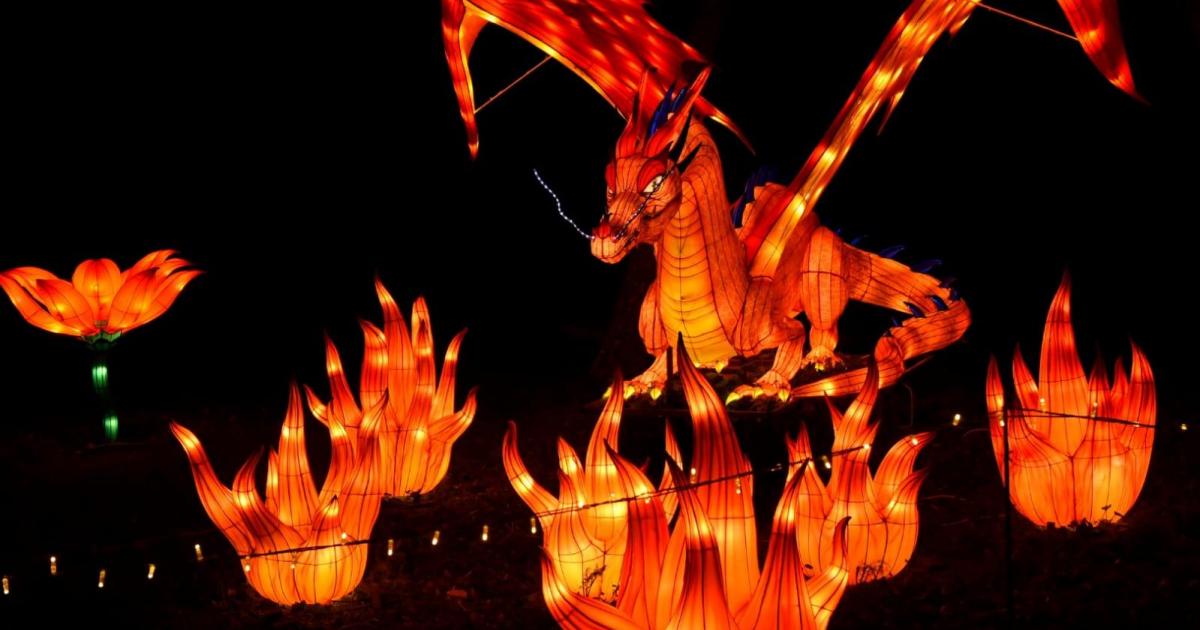 Festival of lights creates magical atmosphere at Verdala Palace gardens