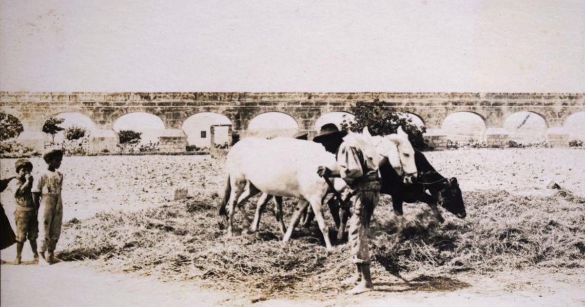In pictures: Early agriculture in Malta