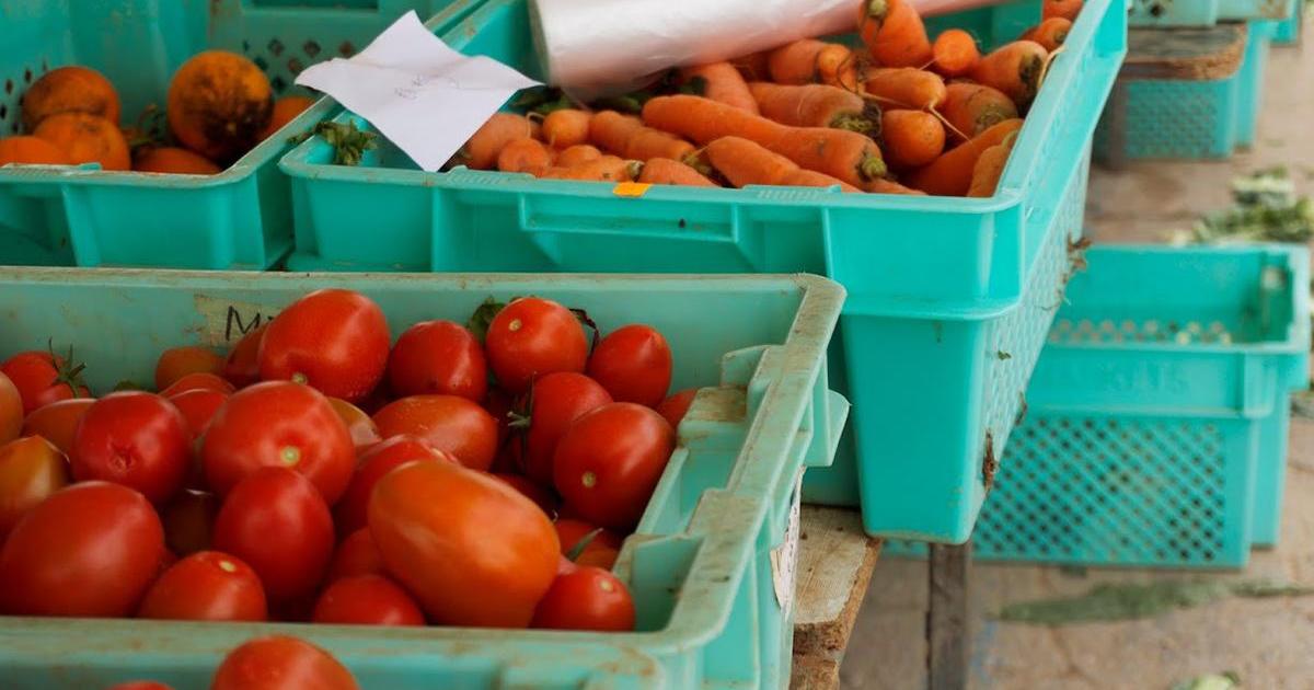 No time to destroy good food – Justin Zahra