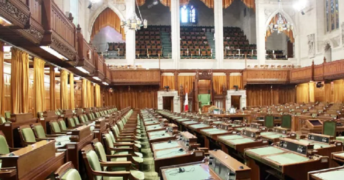 Flash in the cam: Canada MP sorry for baring all on parliament Zoom