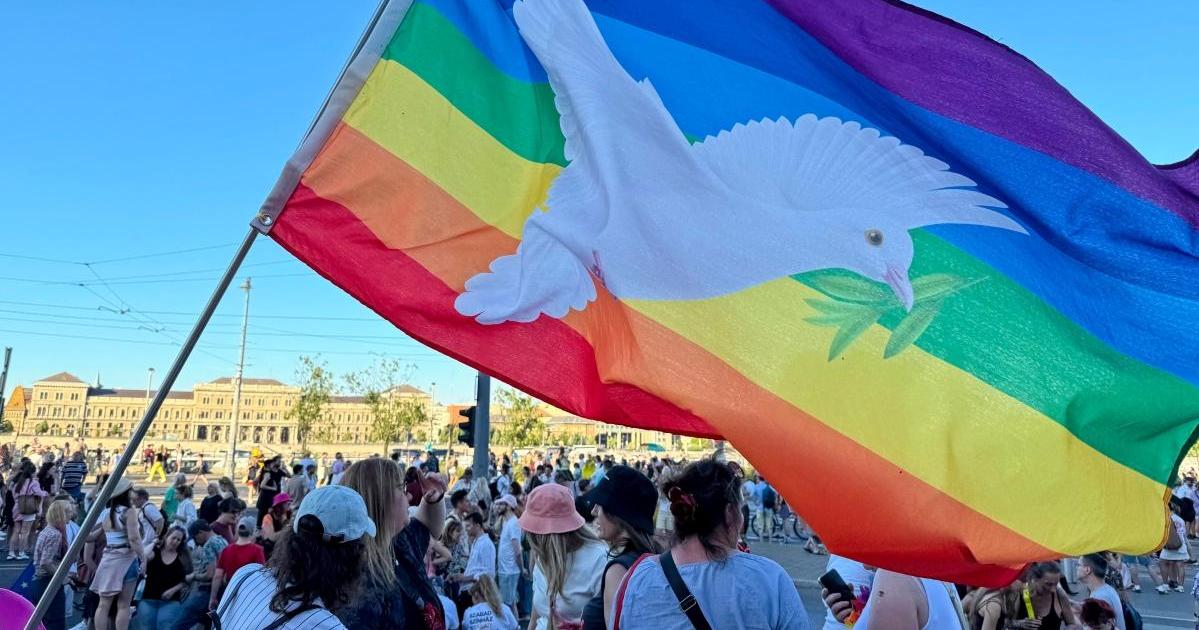 Defiant Budapest mayor questioned over Pride march