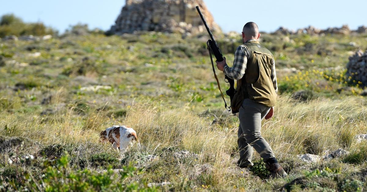 Spring hunting vote to go ahead after court dismisses Birdlife injunction