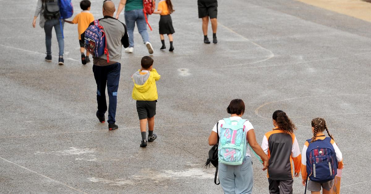 Watch: Educators want schools to reopen in September - minister