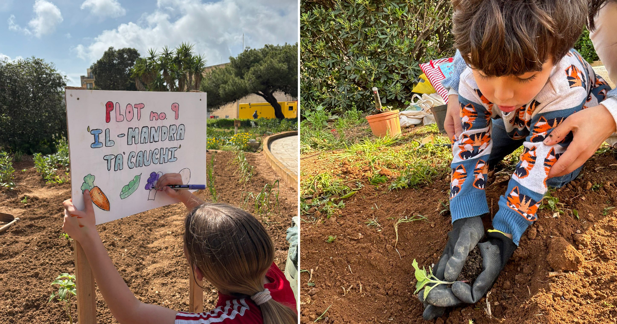 Her students had nowhere to grow crops. Then she saw a rundown piece of ...
