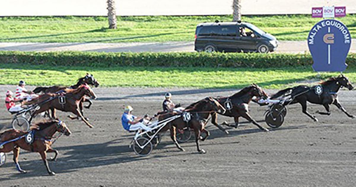 Twelve horses qualify for the class Gold final