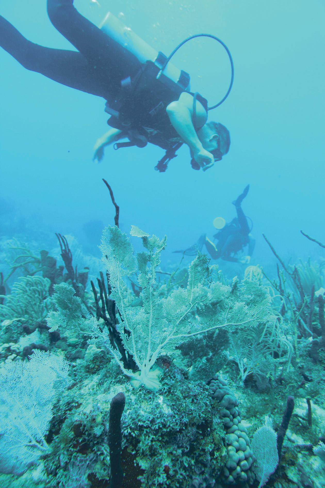 Running out of gas - helium shortage may force diving company to close