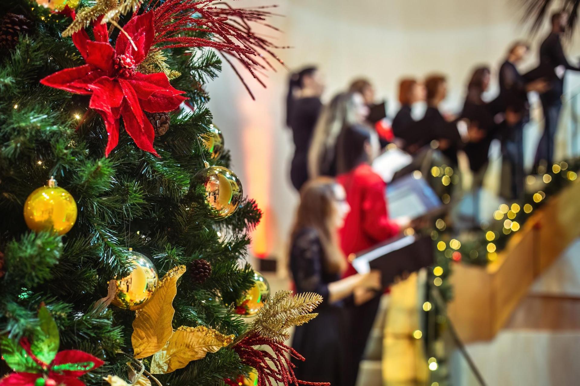 What’s on in Malta and Gozo this week: December 15 to 21, 2025