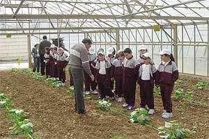 Students on farming programme