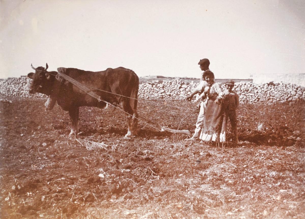 In pictures: Early agriculture in Malta