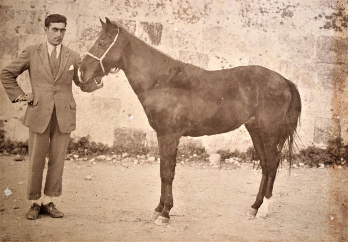 In pictures: Animals in early Maltese photography