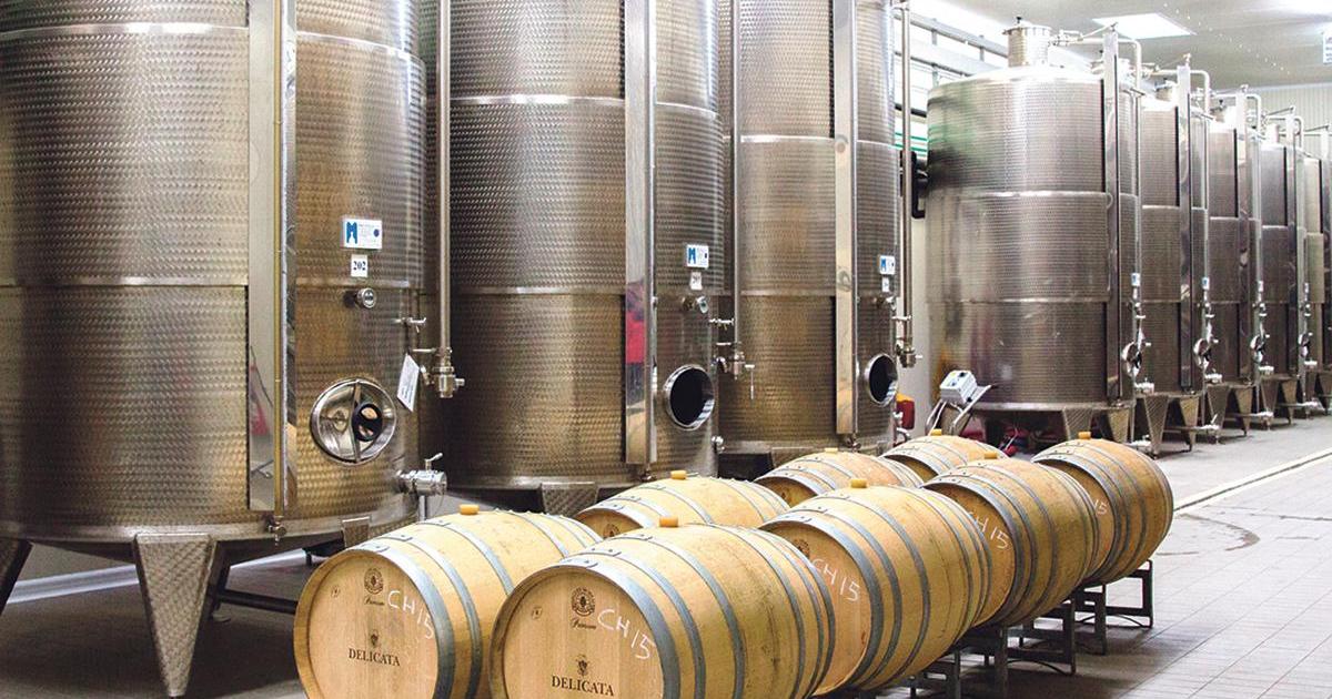 Meet the winemaker at Delicata’s open day