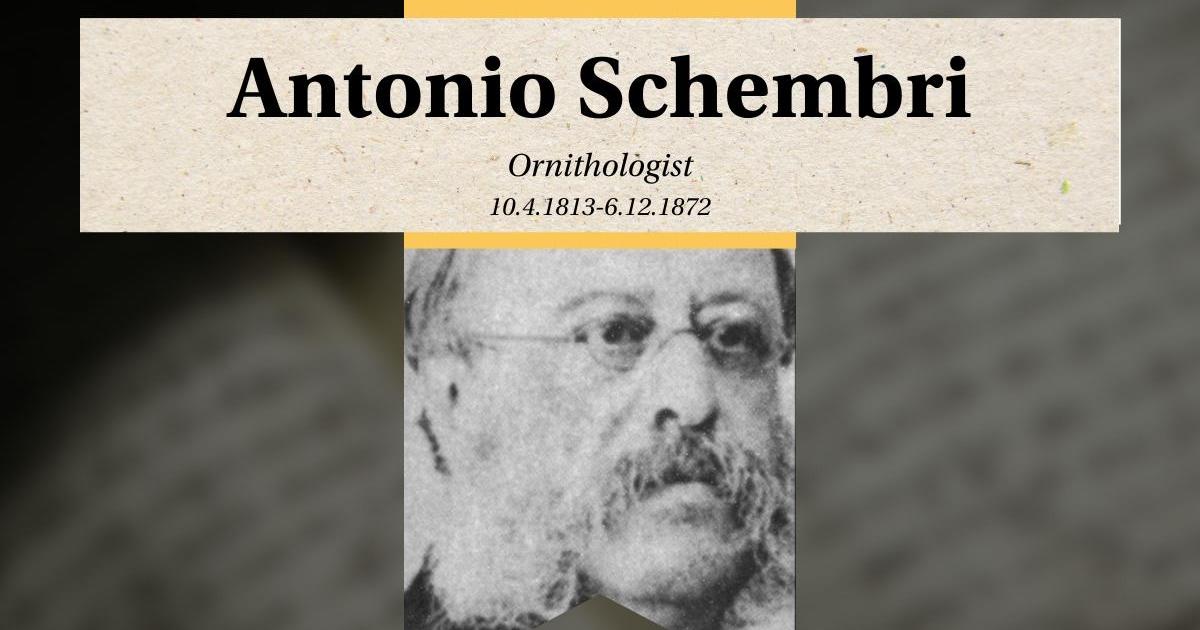 Biography: Antonio Schembri