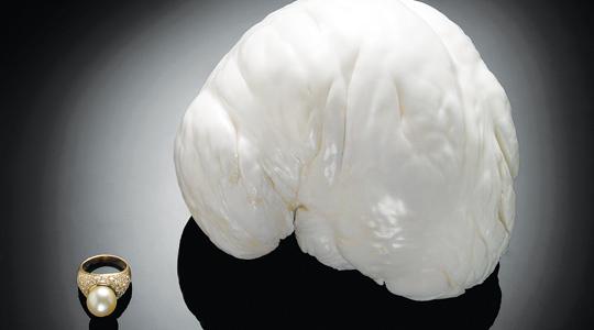 Brain-shaped massive pearl under the hammer