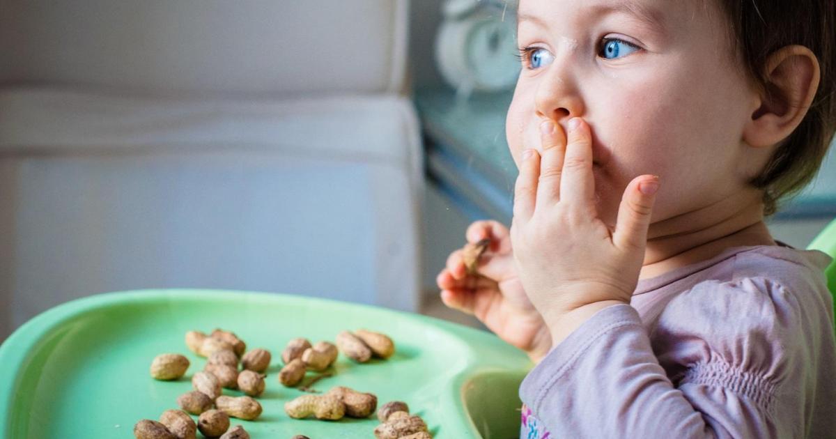 Adding peanuts to young children’s diet can help avoid allergy: study