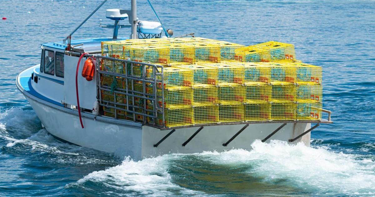 Watch: Maine, USA: Lobster fishing or whale protection? (ARTE)