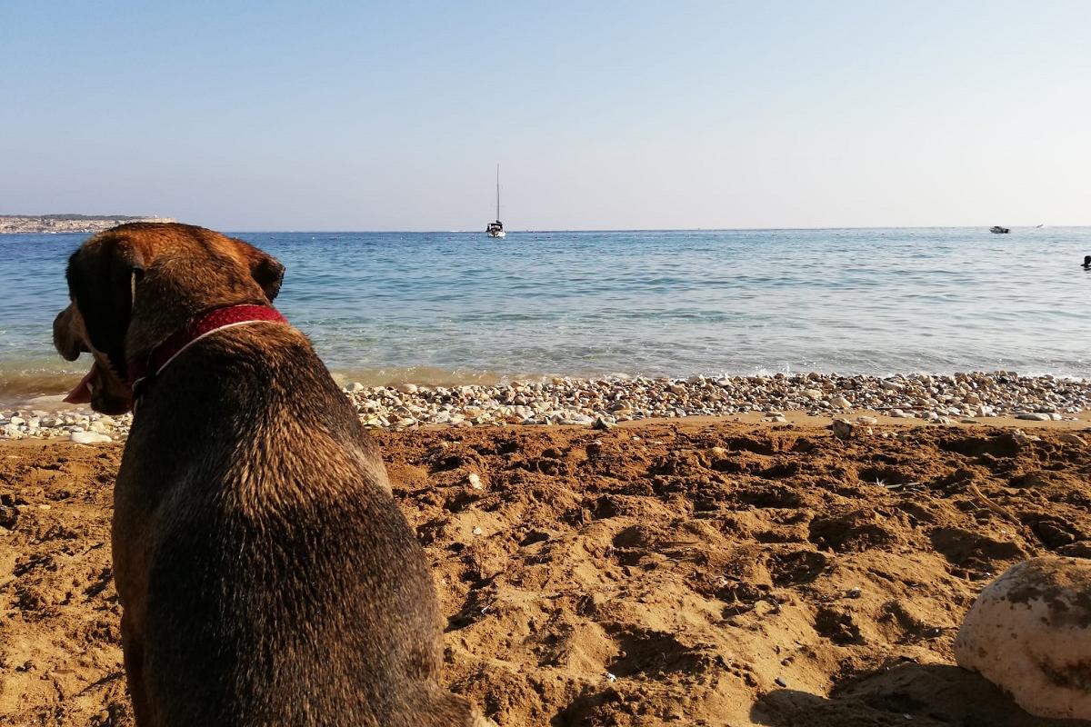 News Sport Opinion Jobs And Events From Malta And The World Times News Sport Opinion Jobs And Events From Malta And The World Times
