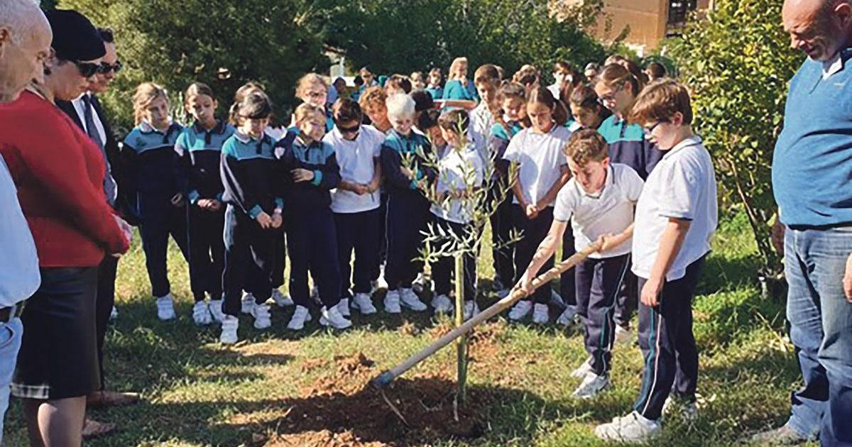 Tree planting by Lions Club Sliema