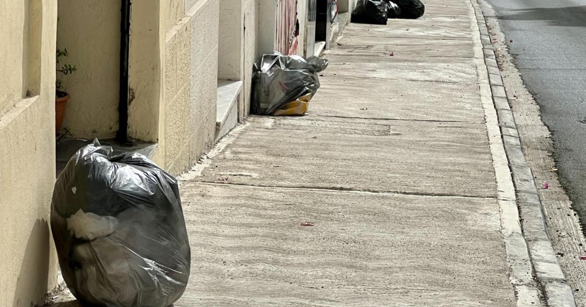 Black bin waste down by a third, organic and recyclable collection up ...