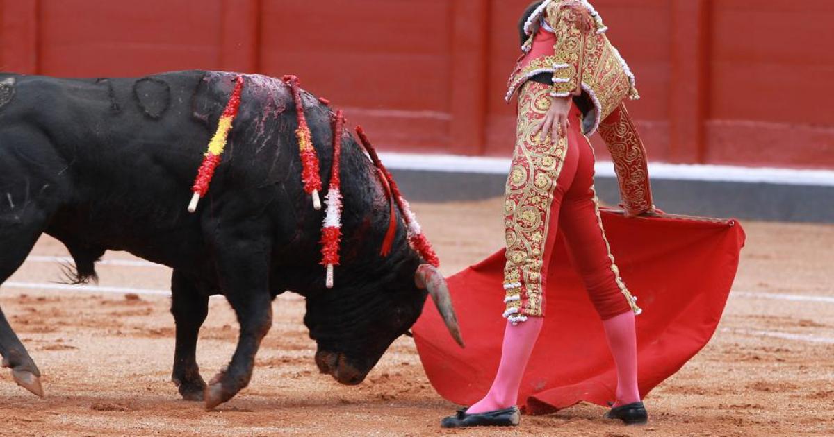 Spanish bullfighter gored to death in French ring