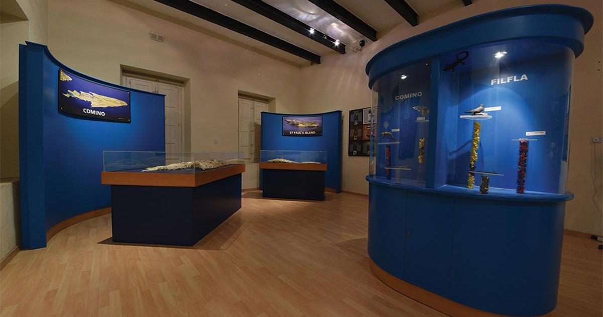 Natural History Museum reopening this month