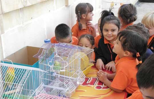 Animal Awareness Day activity