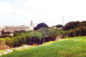 MEPA schedules 20 sites at Kalkara