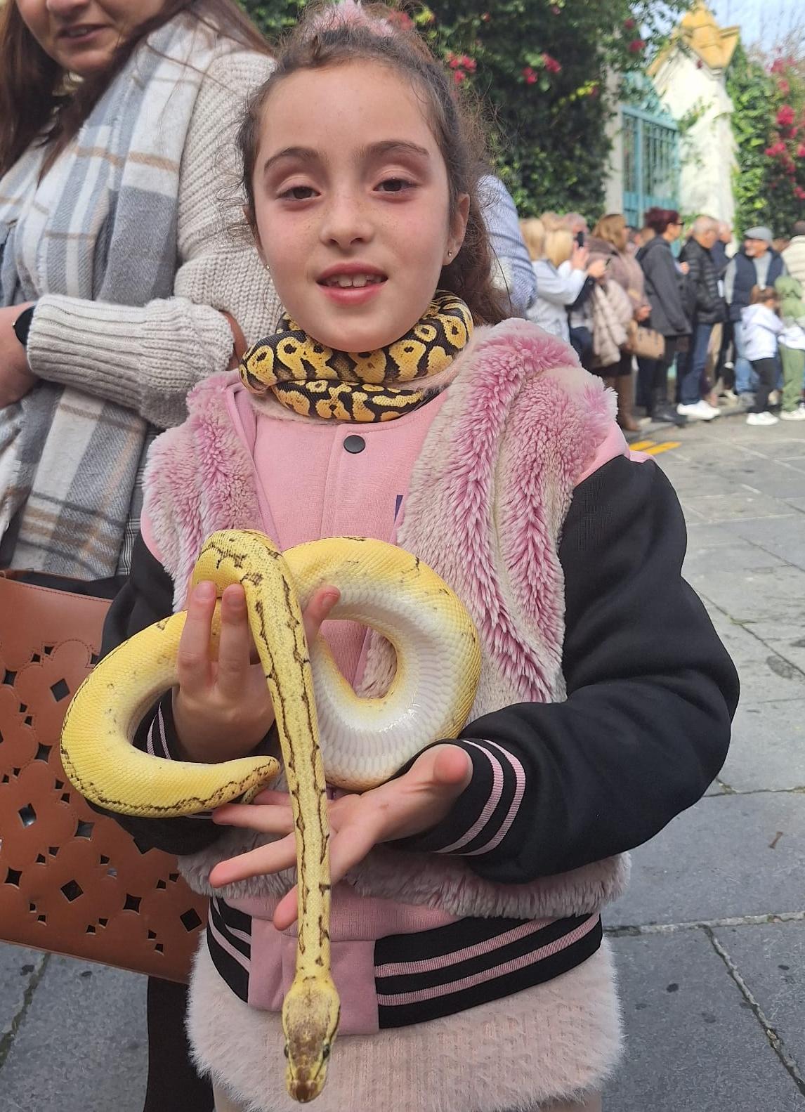 Snakes, ponies and parrots blessed at Rabat feast