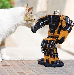 Ġiġ the robot shows off