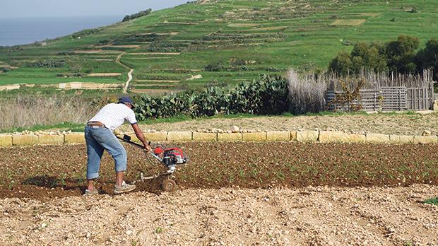 'L-aħħar bidwi' could be a Maltese reality in 15 years' time