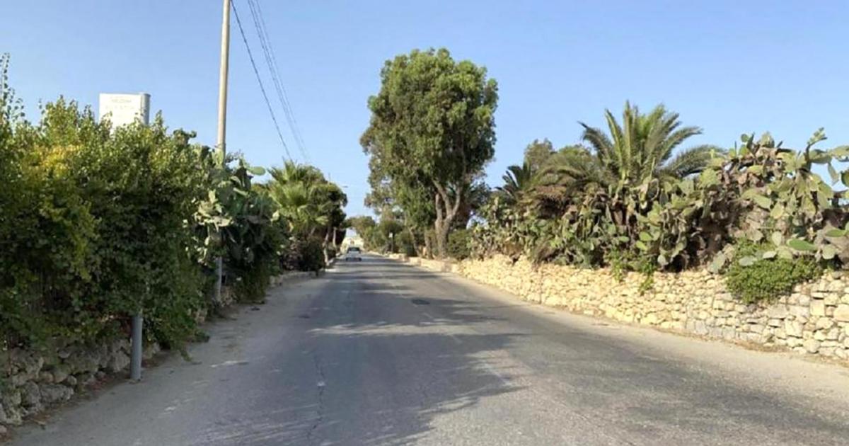 ERA gives its blessing for 100 trees to be uprooted on the road to ...