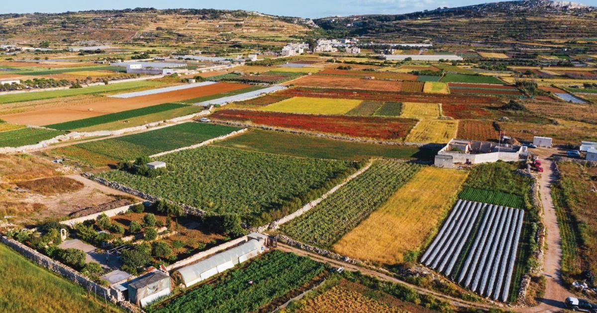 ‘Water – Be the Change’ supports Malta’s first-ever agricultural expo