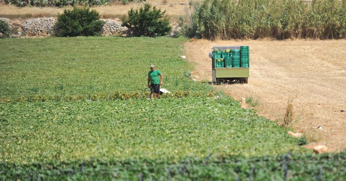 Don’t sacrifice European small farmers in name of food security ...