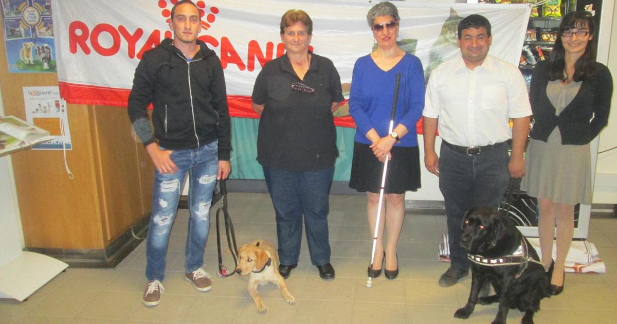 Parliament transcriber looks forward to life with a guide dog