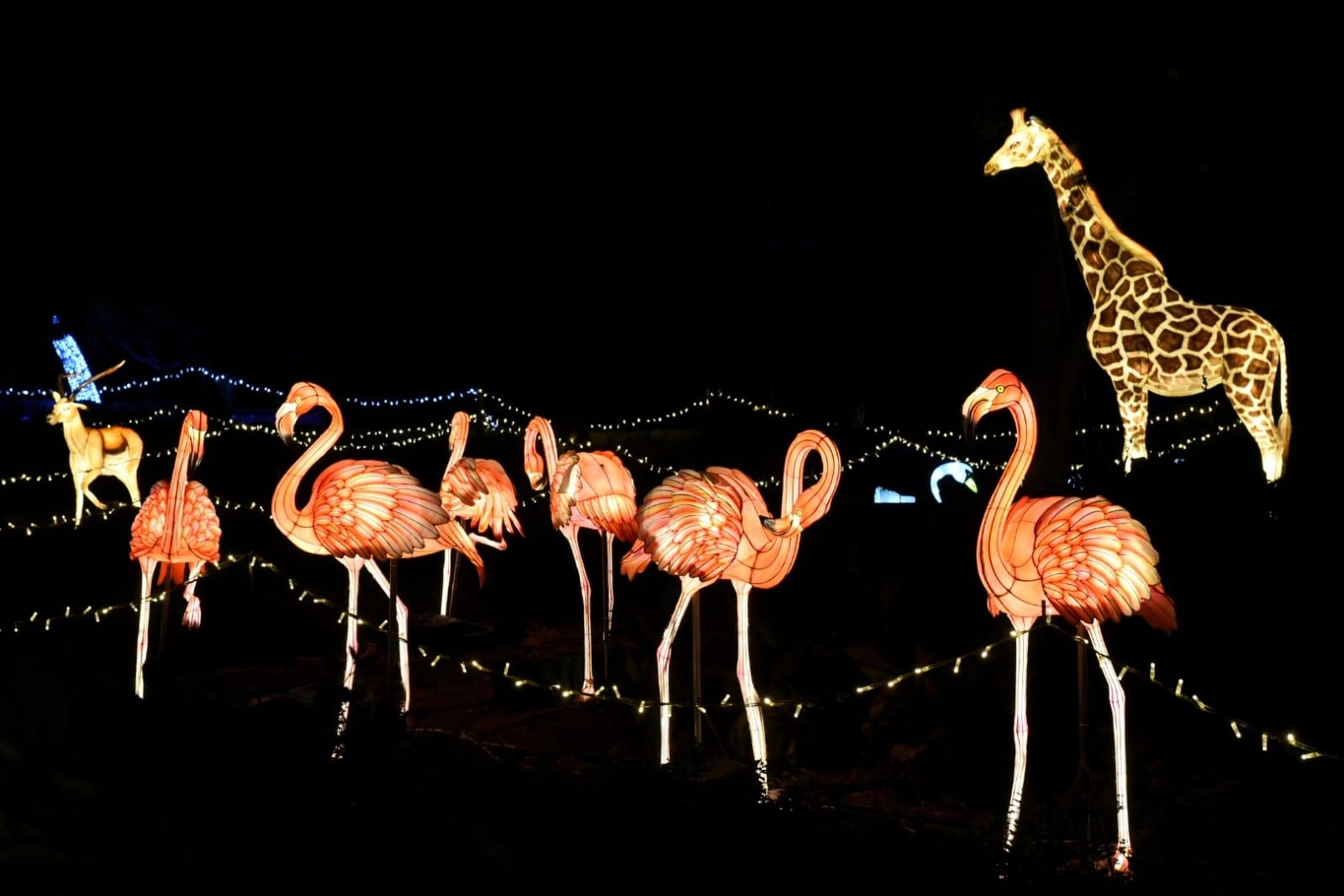 Festival of lights creates magical atmosphere at Verdala Palace gardens