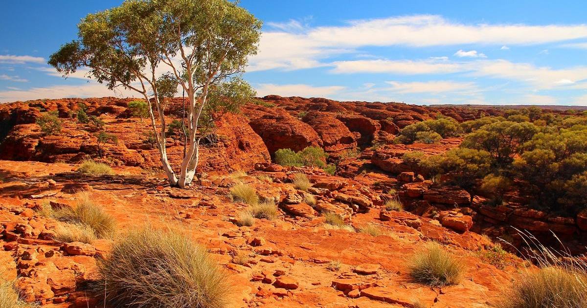 Missing man found in Australian bush after 18 days