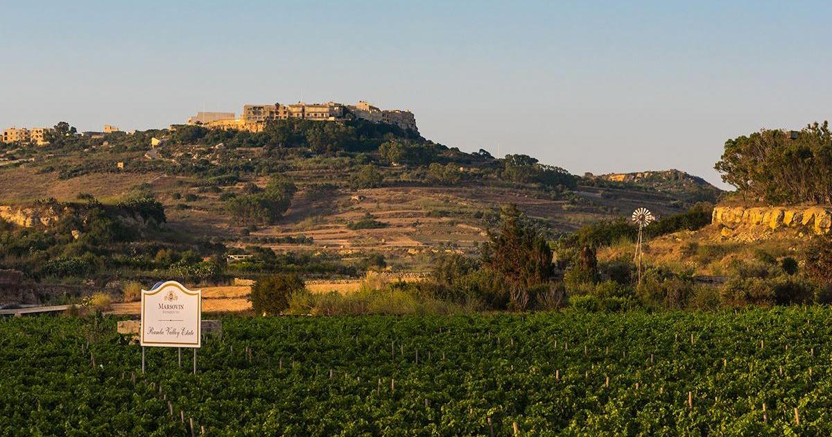 Marsovin Winery reveals new logo with release of 2021 vintage