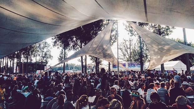 Meet the festival freaks