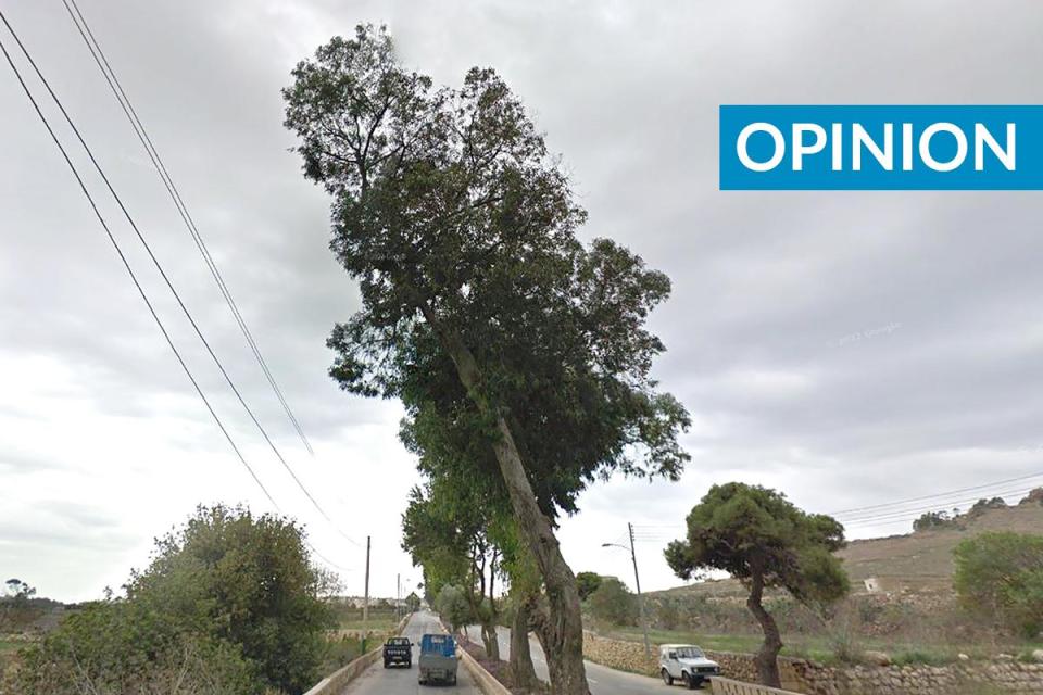 Latest opinion, analysis, discussion and editorials - Times of Malta