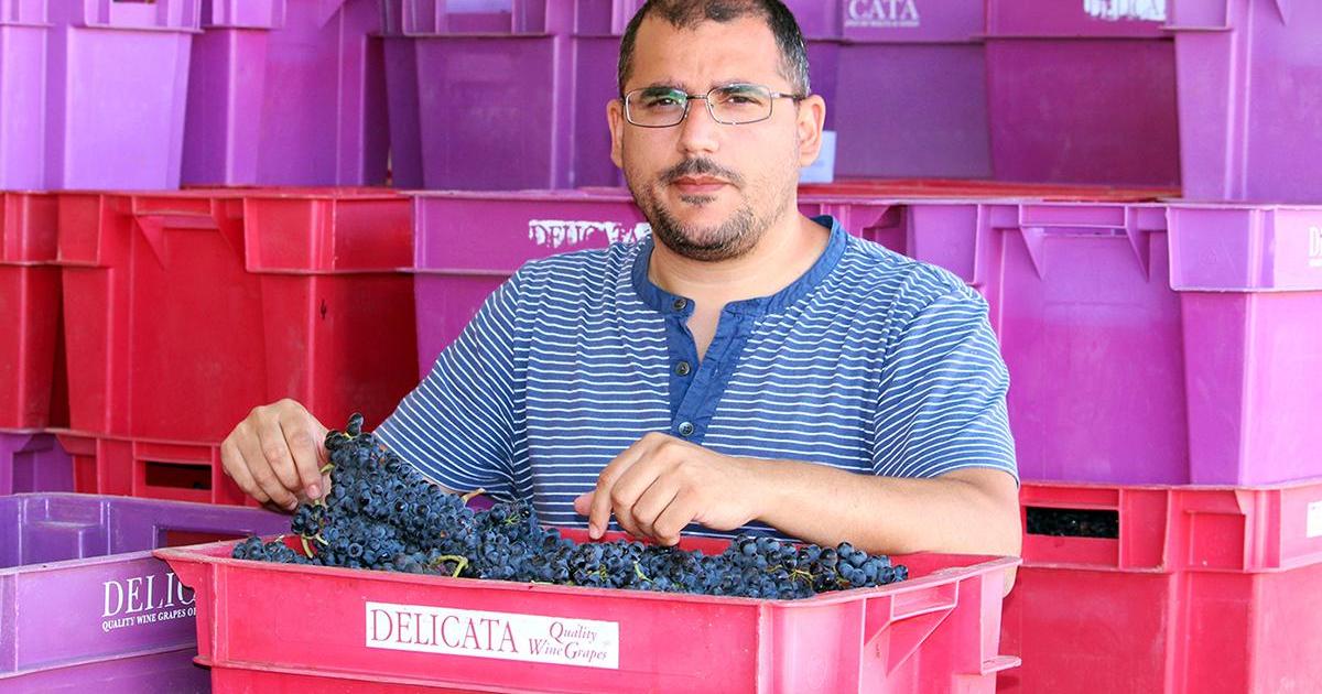 Meet winemaker Matthew Delicata
