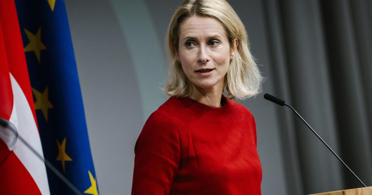 EU must 'explore all avenues' on using Russian assets: Kallas