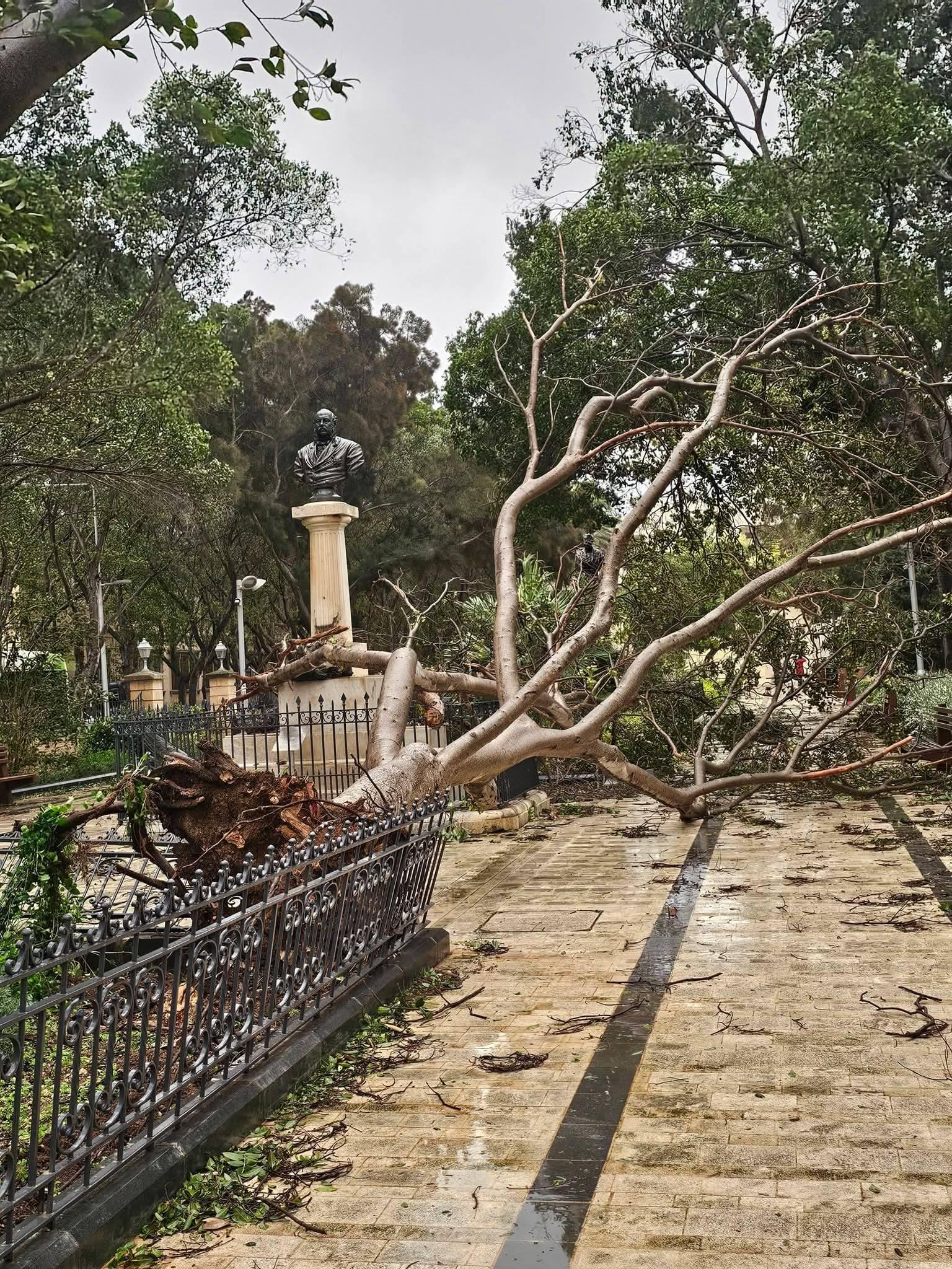 In pictures: Storm Harry's trail of damage across Malta