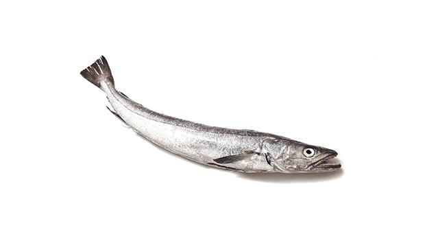 Merluzz fishing restricted as overfishing bites