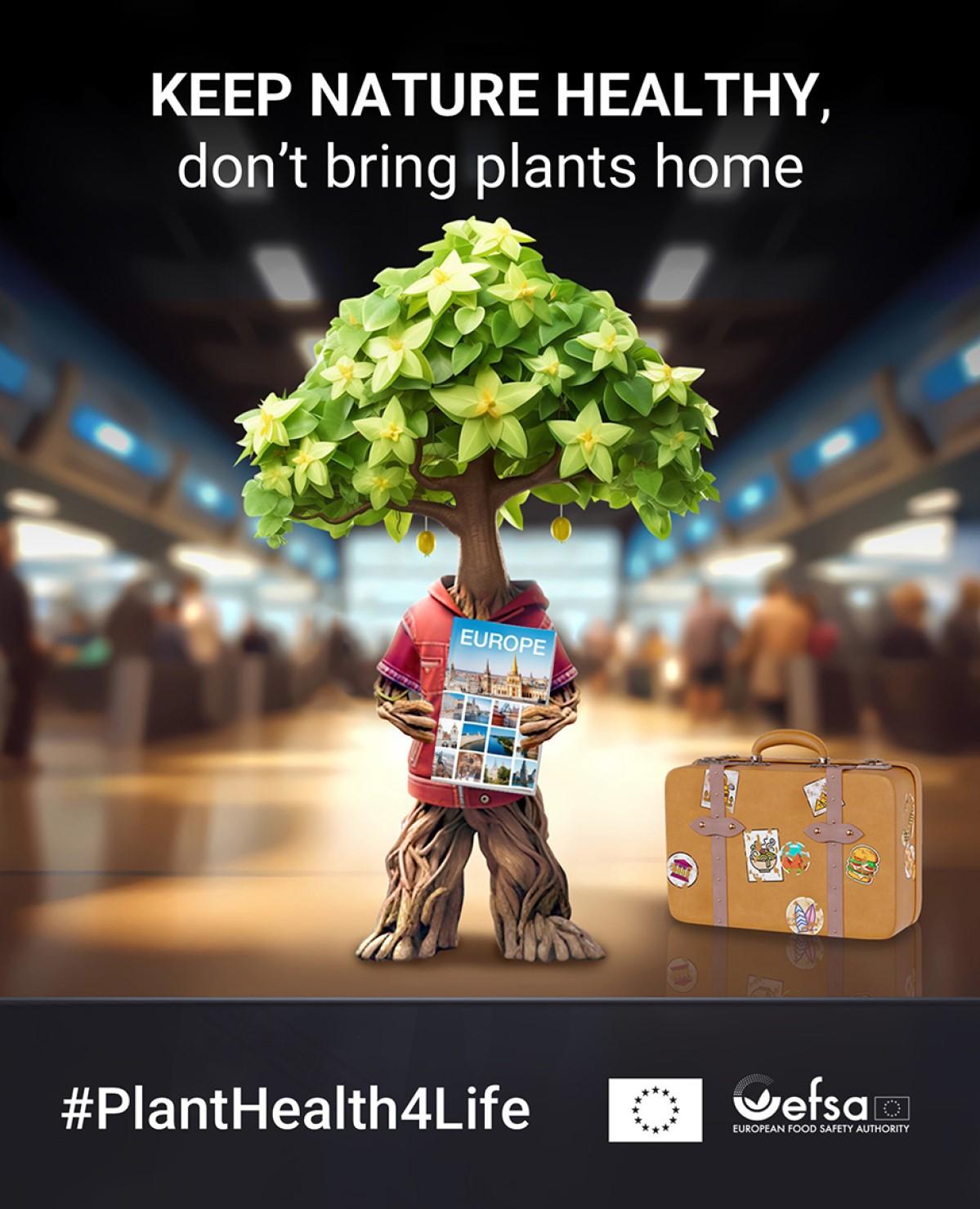 Campaign to raise awareness of why plant health matters to us