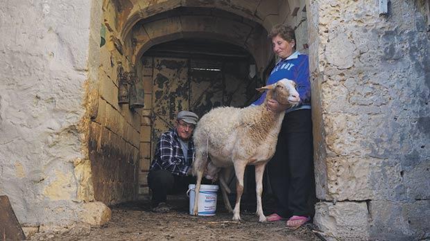 Windows into the soul of Malta