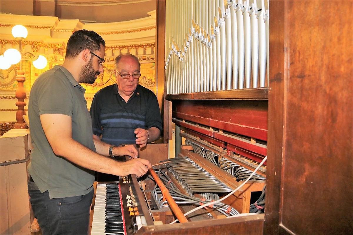 Organ restoration