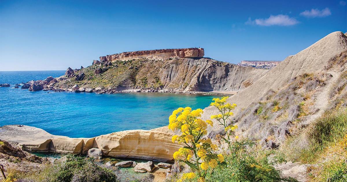 Malta tops global chart for fragile biodiversity