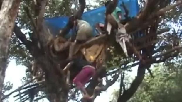 Indian villagers live in trees to escape elephants