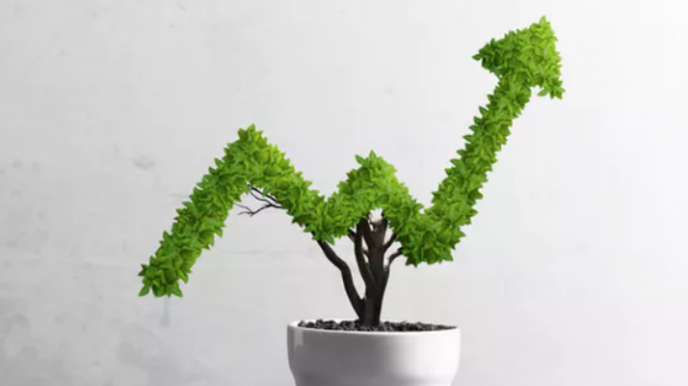Five reasons 'green growth' won’t save the planet