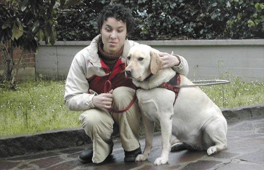 Guide dog to fly with passengers in a first for Air Malta